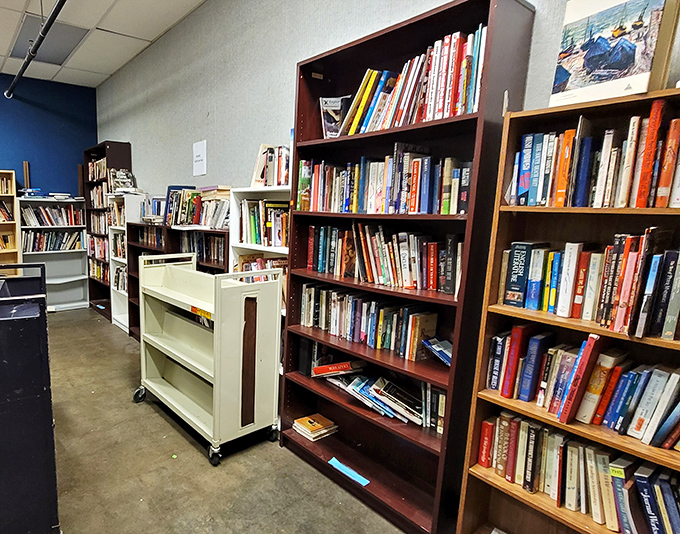 A bibliophile's dream come true. These shelves hold forgotten bestsellers and hidden gems waiting for their next chapter with you.