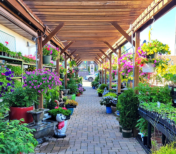 Brenda's Blumenladen offers a riot of color under rustic wooden beams. Even non-gardeners might find themselves suddenly interested in developing a green thumb.