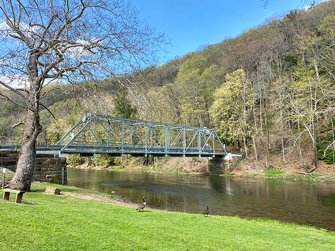 This steel bridge isn't just functional&mdash;it's a front-row seat to nature's theater. Even the geese know it's the perfect spot for people-watching.