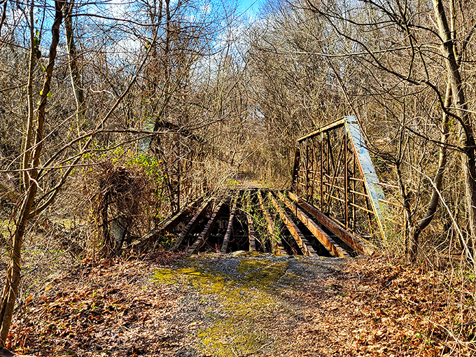 This weathered bridge has seen more seasons than most Hollywood marriages. Nature slowly reclaiming what humans built&mdash;a poetic standoff.