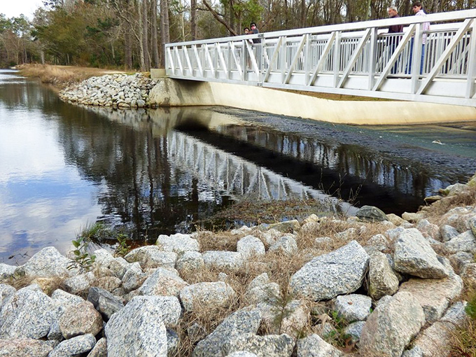 The bridge's clean white lines create a striking contrast against the dark waters. Modern design in conversation with ancient wilderness.