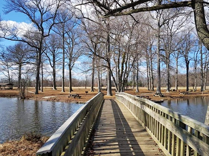 This wooden bridge isn't just crossing water—it's crossing time, inviting you to slow down and notice how shadows dance across the planks.