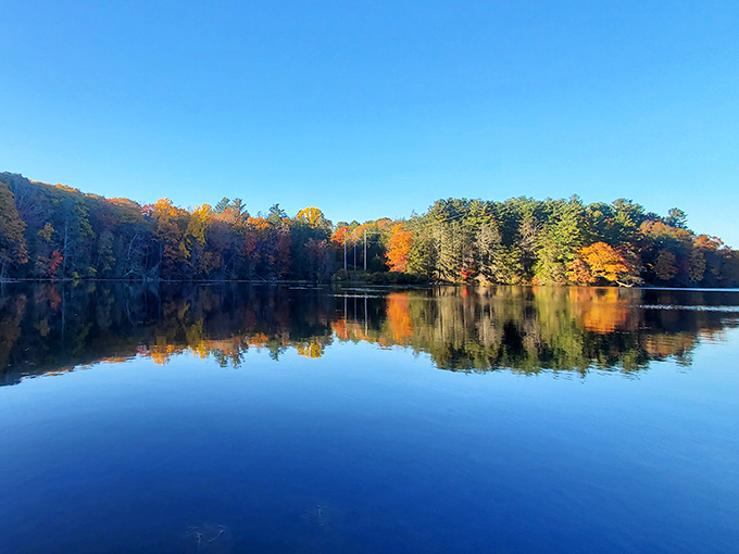 Burr Pond's mirror-like surface reflects autumn's fiery palette, creating nature's version of a double feature that doesn't require a streaming subscription.