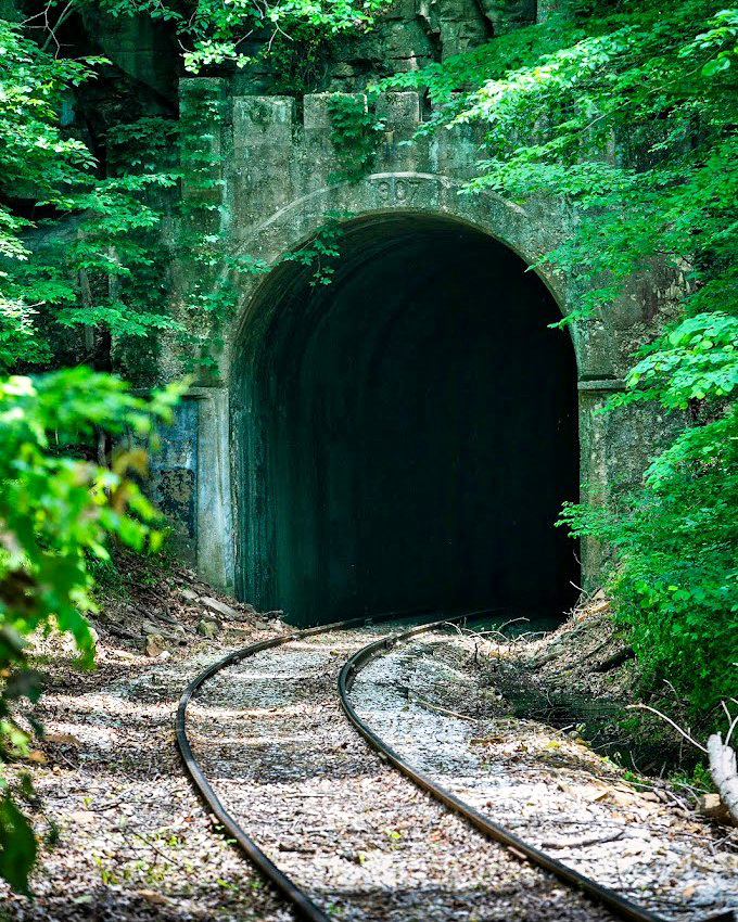 Nature reclaims the edges of Burton Tunnel, a 2,200-foot marvel of 19th-century engineering that plunges passengers into momentary darkness.