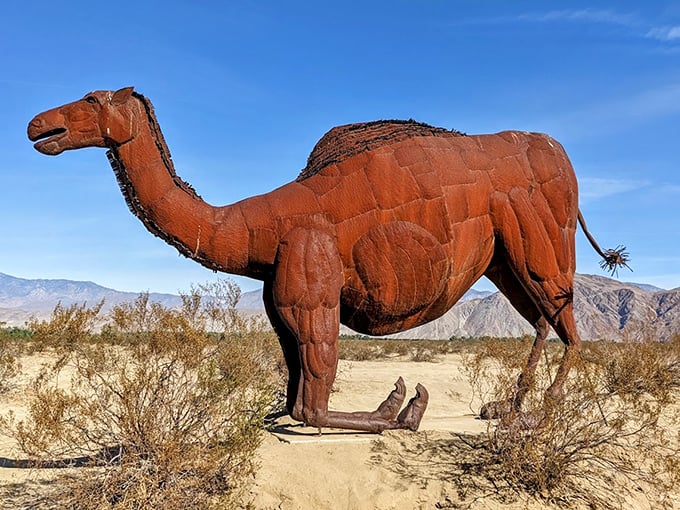No, you're not hallucinating from desert heat&mdash;that's a life-sized metal camel, perfectly at home in this arid California landscape.