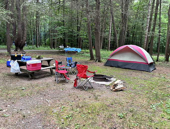 Camping among towering trees at Watkins Glen&mdash;where s'mores taste better and ghost stories seem more believable under a canopy of stars.