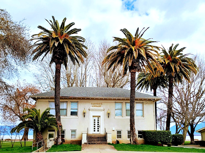 The Carnegie Library stands sentinel, palm trees like exclamation points emphasizing its importance. A community cornerstone where knowledge meets architectural charm.