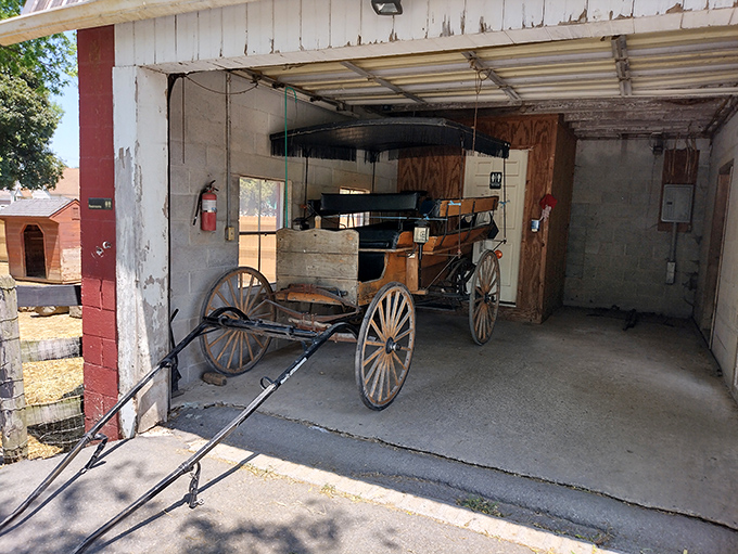 Parked in its humble garage, this traditional carriage reveals the elegant simplicity of transportation that has stood the test of time.