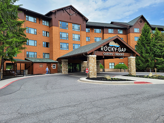 When "roughing it" isn't your style, Rocky Gap Casino Resort offers wilderness-adjacent luxury. Like camping, but with Egyptian cotton sheets and indoor plumbing.