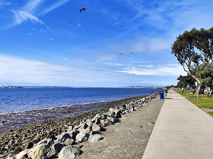 Bayfront Park offers million-dollar views on a fixed-income budget – where seagulls soar and retirement savings don't have to.