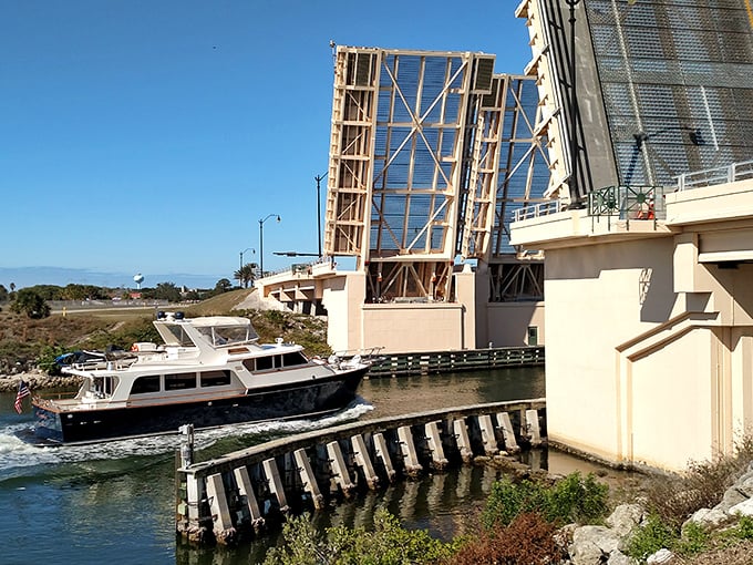The Circus Bridge raises its mechanical arms to welcome passing boats, a daily performance that never fails to draw an appreciative audience.