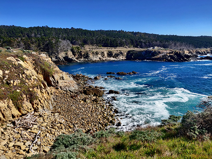 Where land embraces sea in a rocky romance. Salt Point's dramatic coastline tells California's geological love story in stunning three-dimensional form.