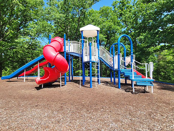 This playground promises childhood joy without the smartphone notifications. Remember when "social media" meant taking turns on the slide?