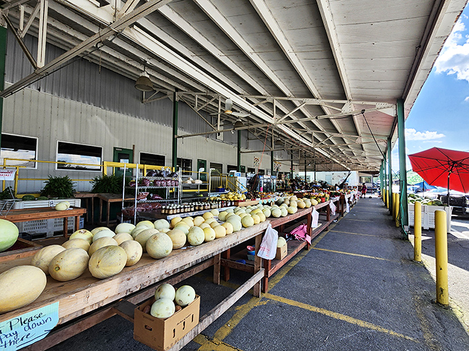 Melon heaven exists, and it's at Cordele's State Farmers Market, where these circular yellow orbs of summer joy await their moment of glory.