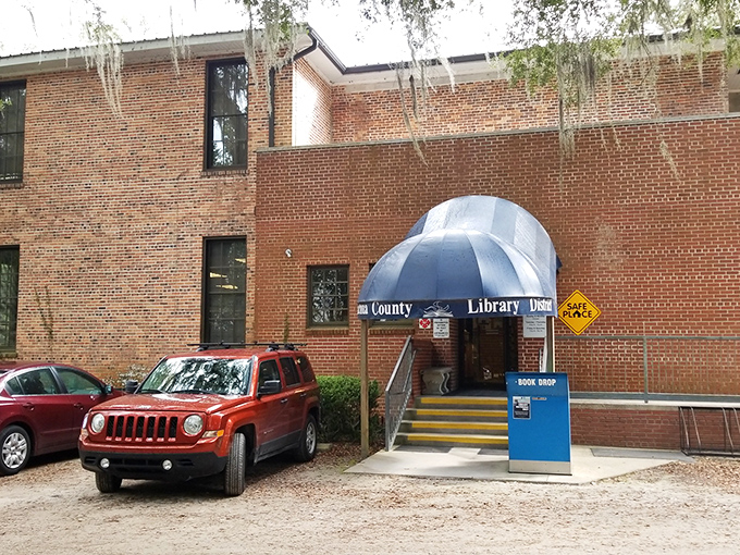 Knowledge seekers find refuge at the county library, where books and local history await under the watchful gaze of Spanish moss.