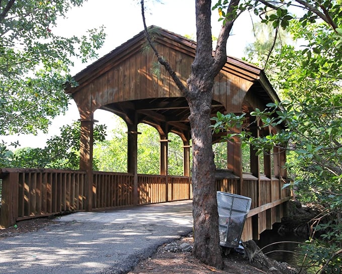 Framed by native foliage, the covered bridge offers a moment of shade and contemplation. Even the trees seem to lean in for a better look.