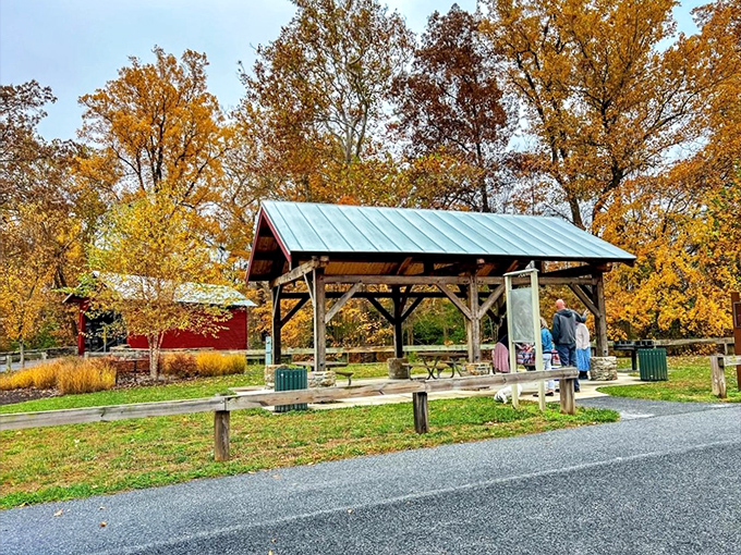 The perfect spot to unwrap that sandwich you've been thinking about since breakfast, with front-row seats to historical charm.