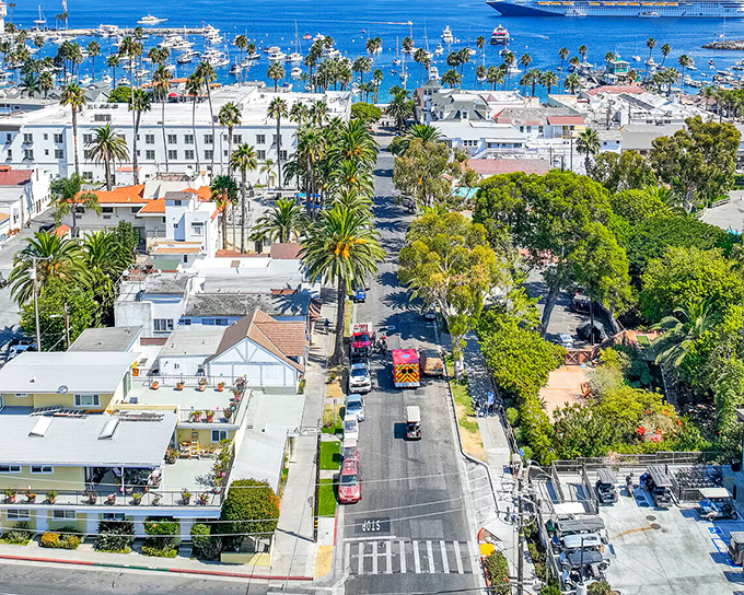From above, Avalon's palm-lined streets and red-roofed buildings create a California coastal tapestry that would make even the most jaded traveler reach for their camera.