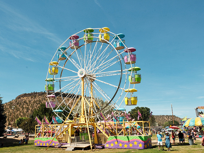 Nothing says "small-town summer" quite like a Ferris wheel against an impossibly blue Oregon sky. Childhood nostalgia, now with better snacks.