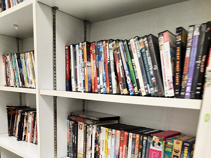 Hollywood's greatest hits line these shelves like a time capsule of entertainment history. One person's decluttered DVD collection becomes another's weekend movie marathon material.