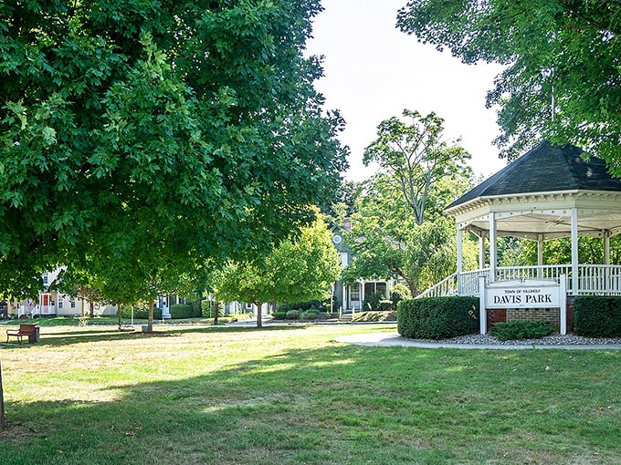 Davis Park's gazebo practically begs for summer concerts and impromptu proposals. The perfect spot to enjoy retirement without breaking the bank. 