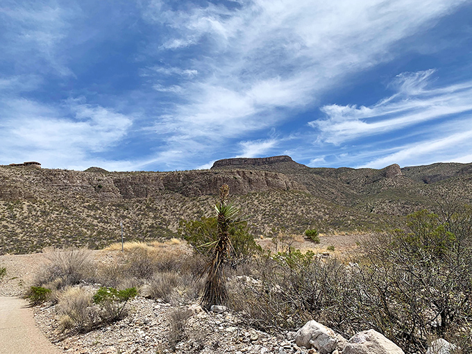 Desert trails wind through rugged terrain, offering daily adventures where the only inflation is in your sense of wonder.