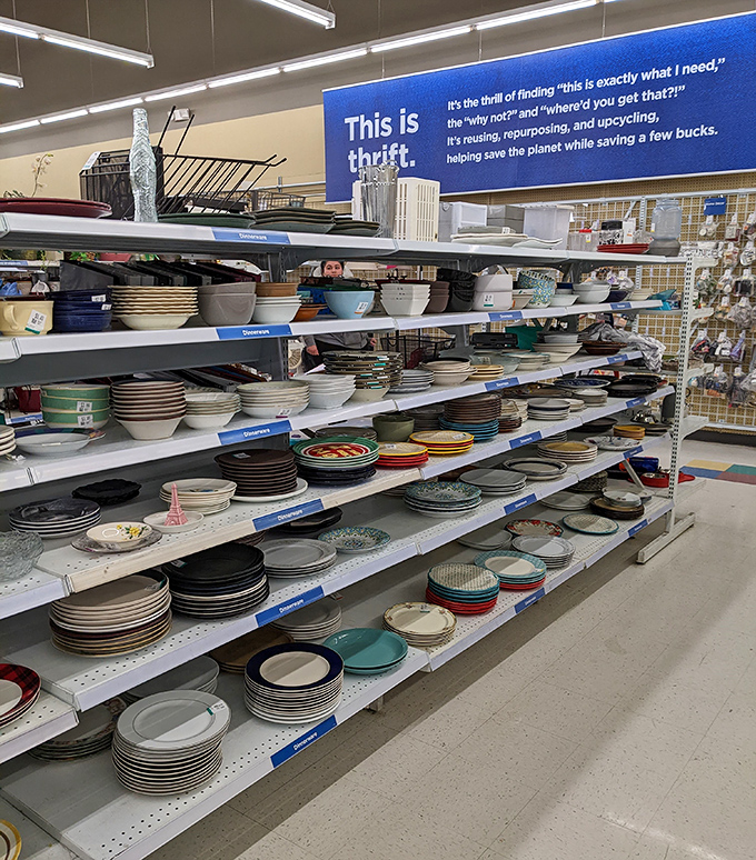 The dinnerware section: where mismatched plates become "eclectic table settings" and your grandmother's pattern might be waiting for a reunion tour.