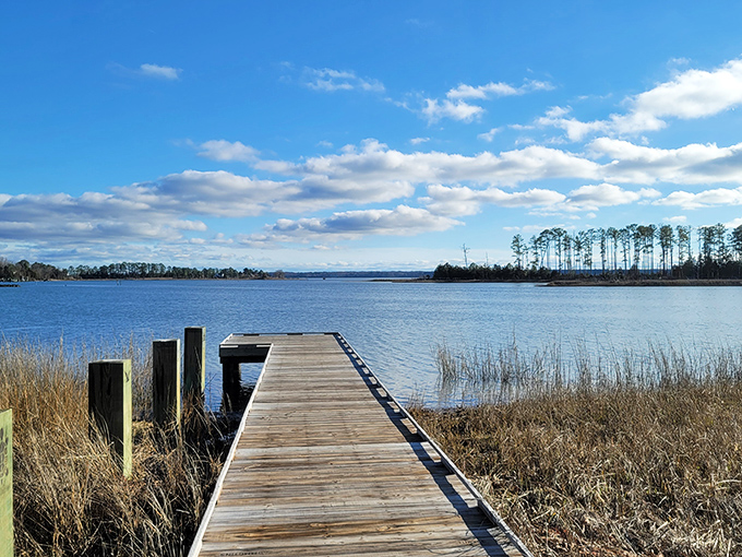 This wooden walkway isn't just a dock&mdash;it's an invitation to contemplation, stretching toward the horizon like a meditation path for water lovers.