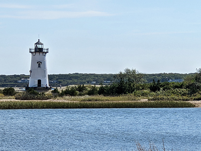 The Edgartown Harbor Lighthouse stands proudly against the horizon, a whitewashed sentinel that's been Instagram-worthy since long before Instagram existed.