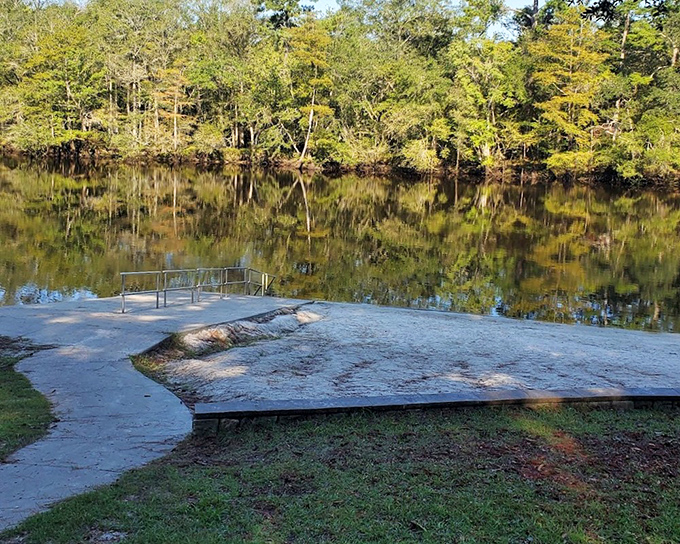 The Edisto's tea-colored waters create perfect mirror images of the shoreline. Mother Nature showing off her photography skills again.