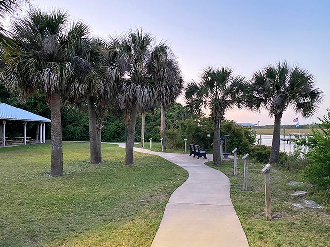 Nature's own meditation path winds through palm sentinels standing guard over the marshlands, offering front-row seats to Florida's untamed beauty.