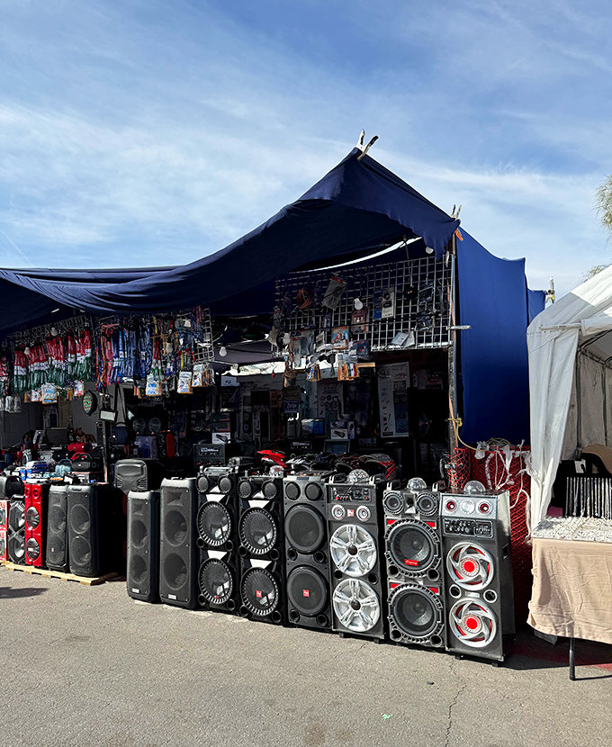 Bass-boosted dreams await at this audio equipment wonderland. One man's speaker collection is another man's instant block party waiting to happen.