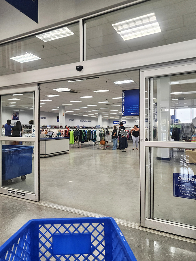 These automatic doors might as well have a sign reading "Abandon budget expectations, all ye who enter here." The thrill of the hunt begins now!