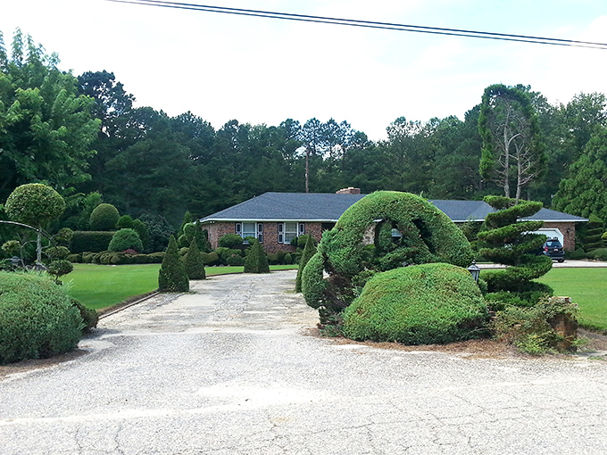 Not your average driveway experience! This green archway welcomes visitors like the botanical equivalent of a red carpet, complete with sculptural sidekicks.