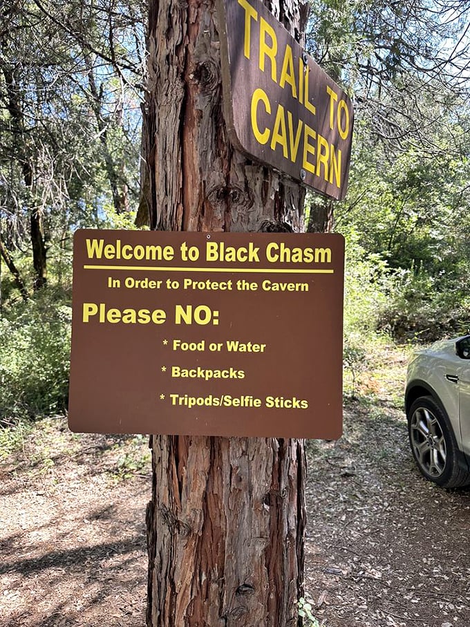 The "no selfie sticks" sign is nature's way of saying, "I've spent millions of years on this decor, please don't poke it."