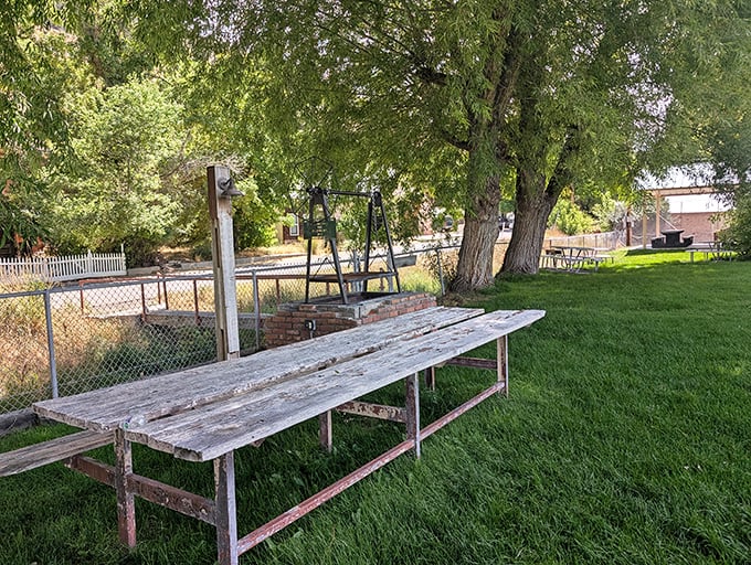 A weathered picnic table under shade trees offers the kind of simple pleasure that's become luxury in our overstimulated world.