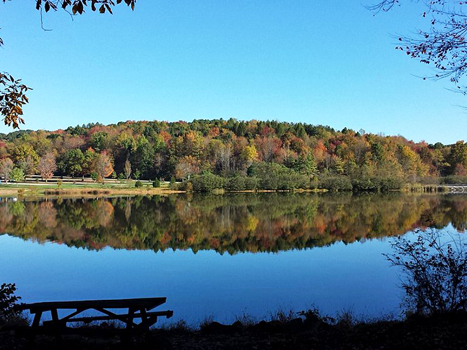 Fall at Keystone Park is Mother Nature's masterclass in color theory. The water doubles your leaf-peeping pleasure with perfect reflections.