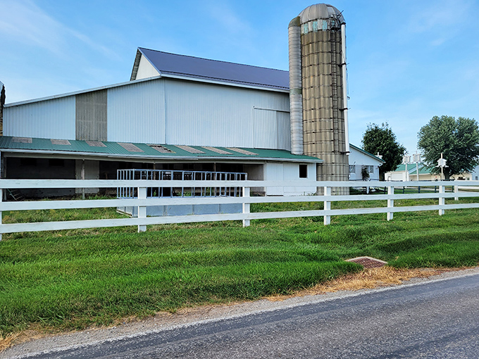 This classic barn with its towering silo isn't just Instagram-worthy &ndash; it's a working testament to agricultural traditions that have sustained generations.