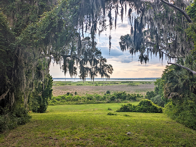 Where Spanish moss meets prairie grass. Mother Nature's own cathedral window, framing a landscape that hasn't changed its mind in centuries.