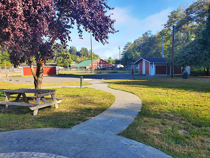 A park bench under a purple-leafed tree—nature's version of the perfect waiting room. No magazines needed when you've got sunshine and birdsong.