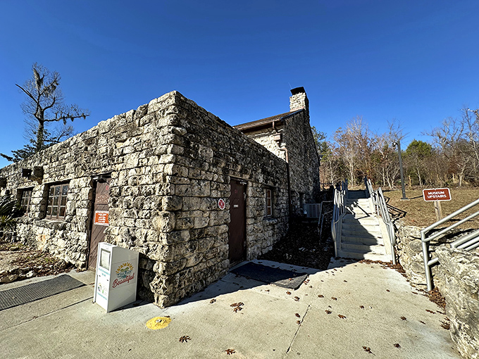 Florida Caverns' limestone entrance looks like nature's own fortress, guarding underground wonders that have been millions of years in the making.