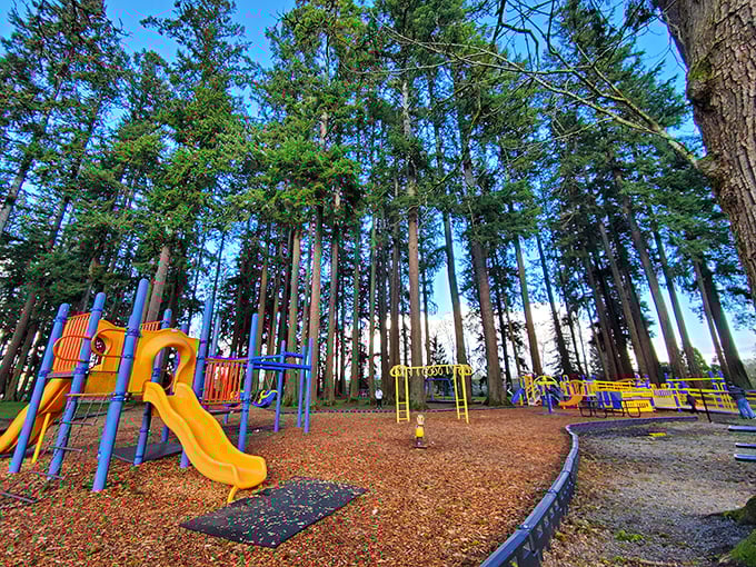 Fort Borst Park's playground stands like a colorful oasis among towering evergreens, where kids' laughter competes with the whispers of ancient trees.