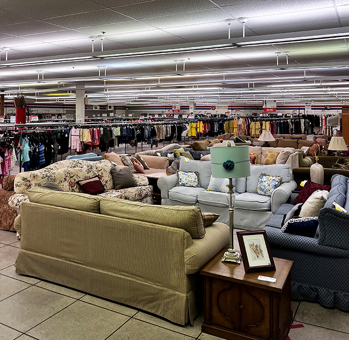A living room showroom where sofas tell stories of past lives, while lamps stand ready to illuminate new chapters in different homes.