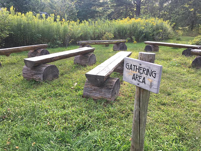 Nature's classroom doesn't need PowerPoint. These rustic log benches create a gathering space where the only required reading is the landscape itself.