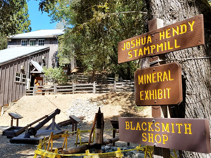 Signs point to adventure at Gold Bug Park, where history lessons come with dirt under your fingernails.