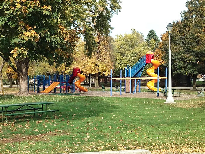 Graham Park's playground equipment stands ready for grandkids' energy and parents' bench-sitting careers. Those spiral slides have launched more childhood memories than a Disney vacation.