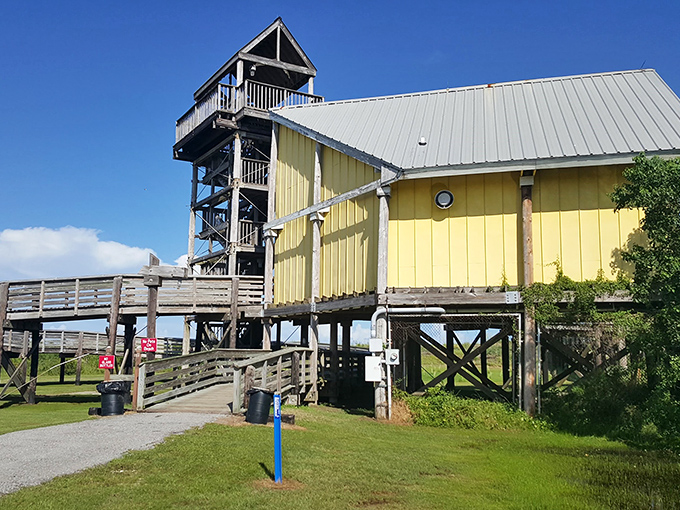 Grand Isle State Park's observation tower offers views that'll make you forget every beach vacation you thought was impressive.
