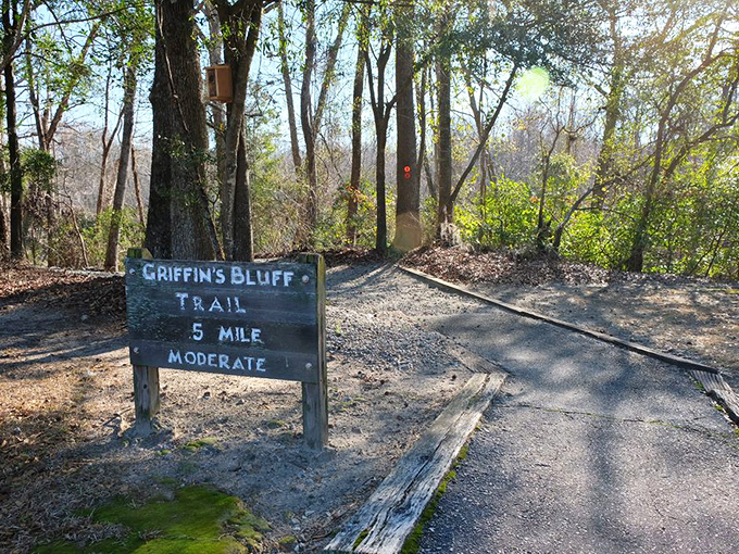 The Griffin's Bluff Trail sign stands like a humble ma&icirc;tre d', ready to guide you through a 0.5-mile feast of natural wonders.