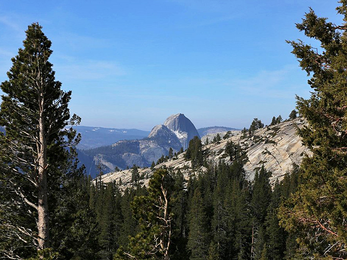 Half Dome playing peekaboo through the pines. Like spotting a celebrity at your local coffee shop, this iconic granite monolith demands a double-take.