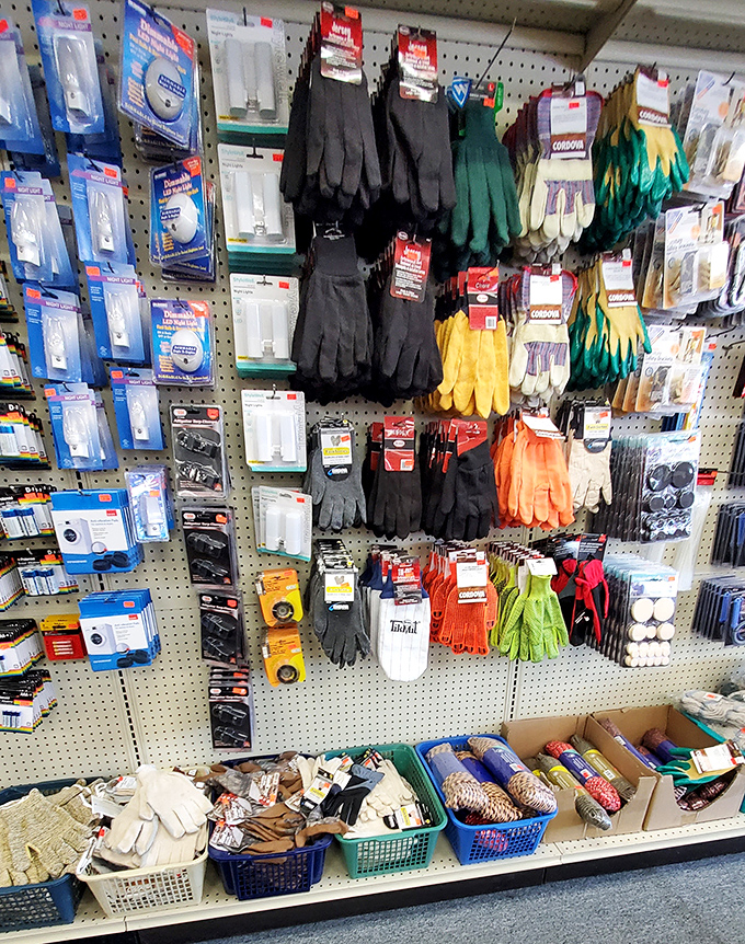 The wall of work gloves alone is impressive—every color and style hanging in neat rows at prices that make buying backups sensible.